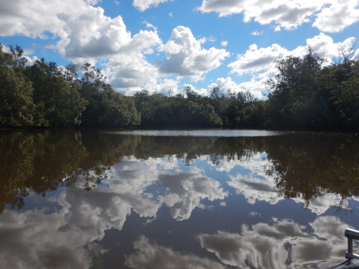 The Maroochy Wetlands | Mountains and rivers
