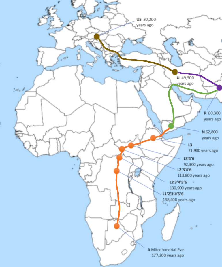 Deep maternal ancestry and mtDNA | Mountains and rivers