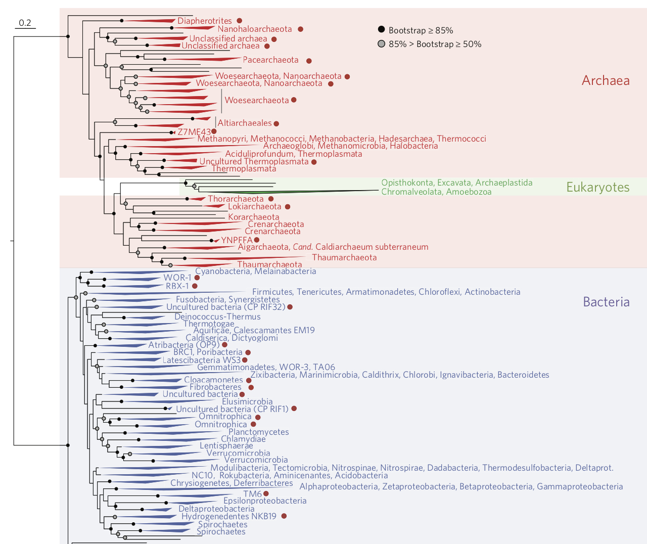 Our Asgardian ancestors | Mountains and rivers