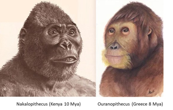 Becoming Human Part 1 | Mountains and rivers