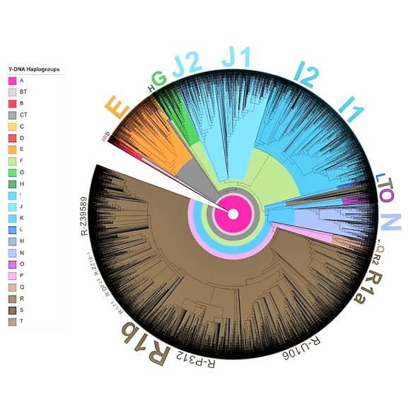 Tracing my paternal ancestors through Y DNA | Mountains and rivers