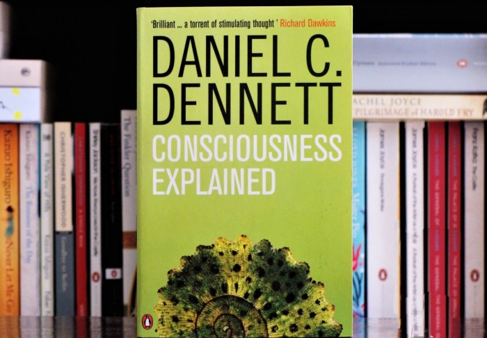 Consciousness Explained…..or Consciousness Ignored? | Mountains and rivers