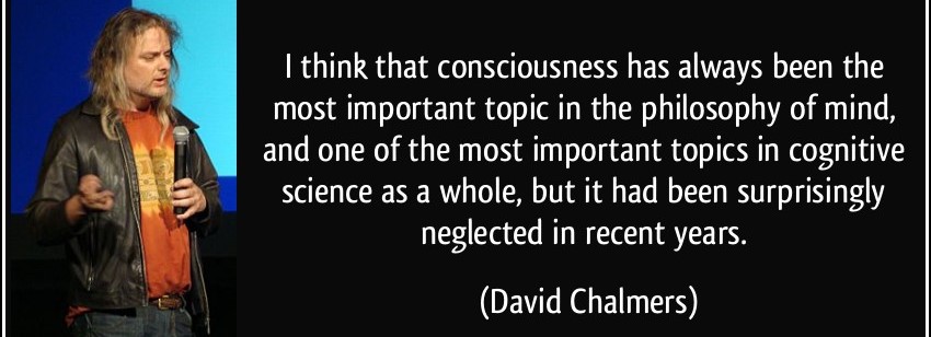 The hard problem of consciousness: David Chalmers and The Conscious ...