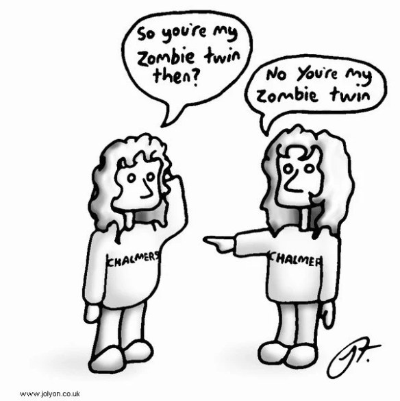 The hard problem of consciousness: David Chalmers and The Conscious ...